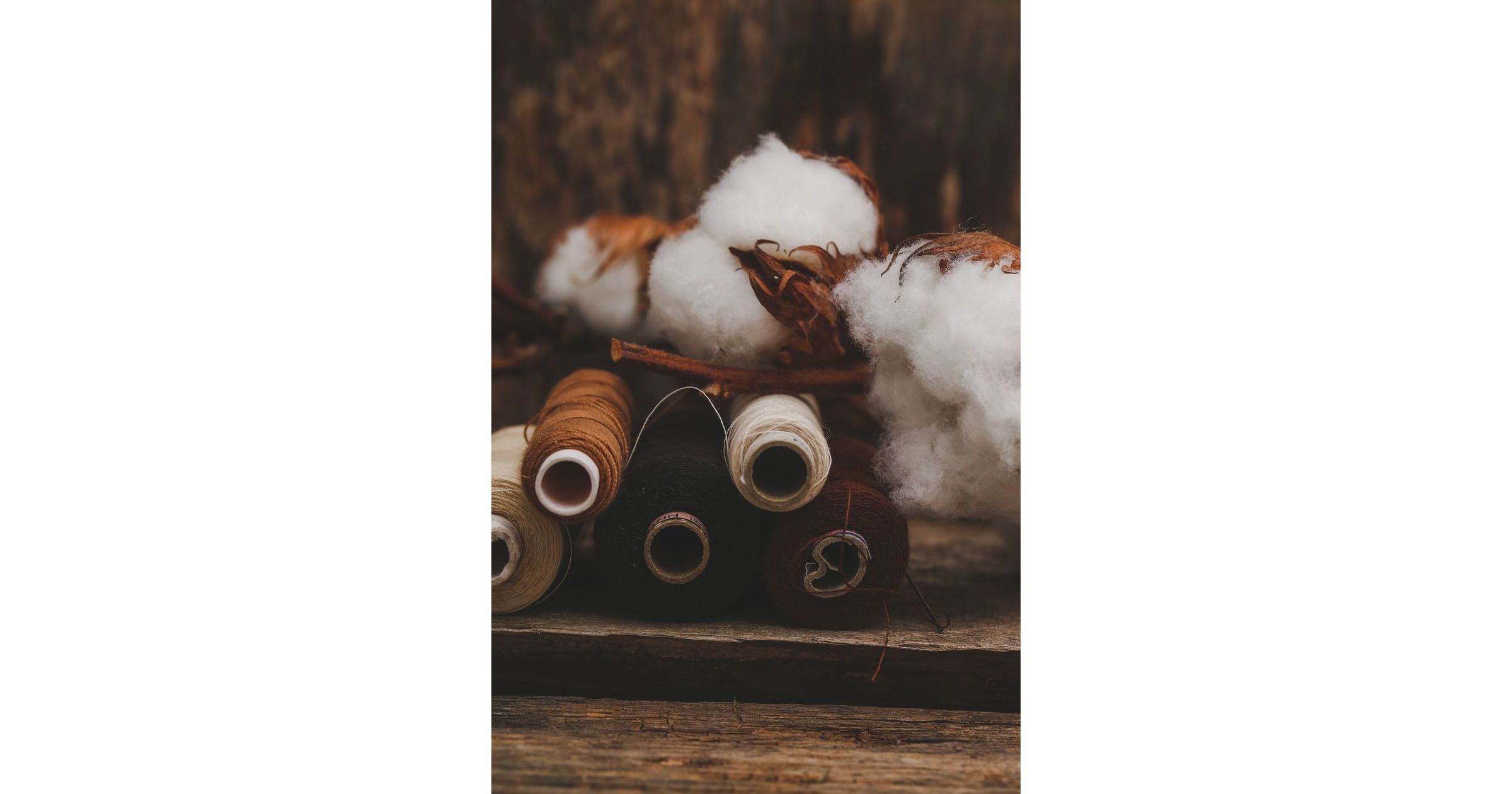 Tot ce trebuie să știi despre bumbacul "dry, open end/ carded"